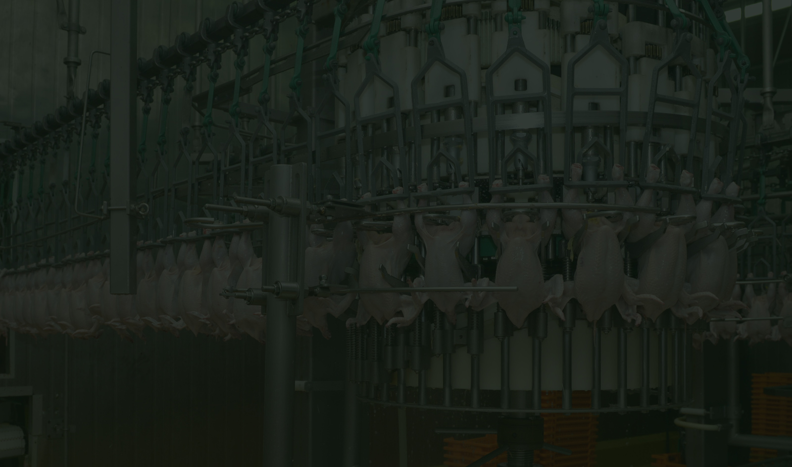 HLRB-Processing-Home-Contact-Background - HLRB Processing Sdn bhd