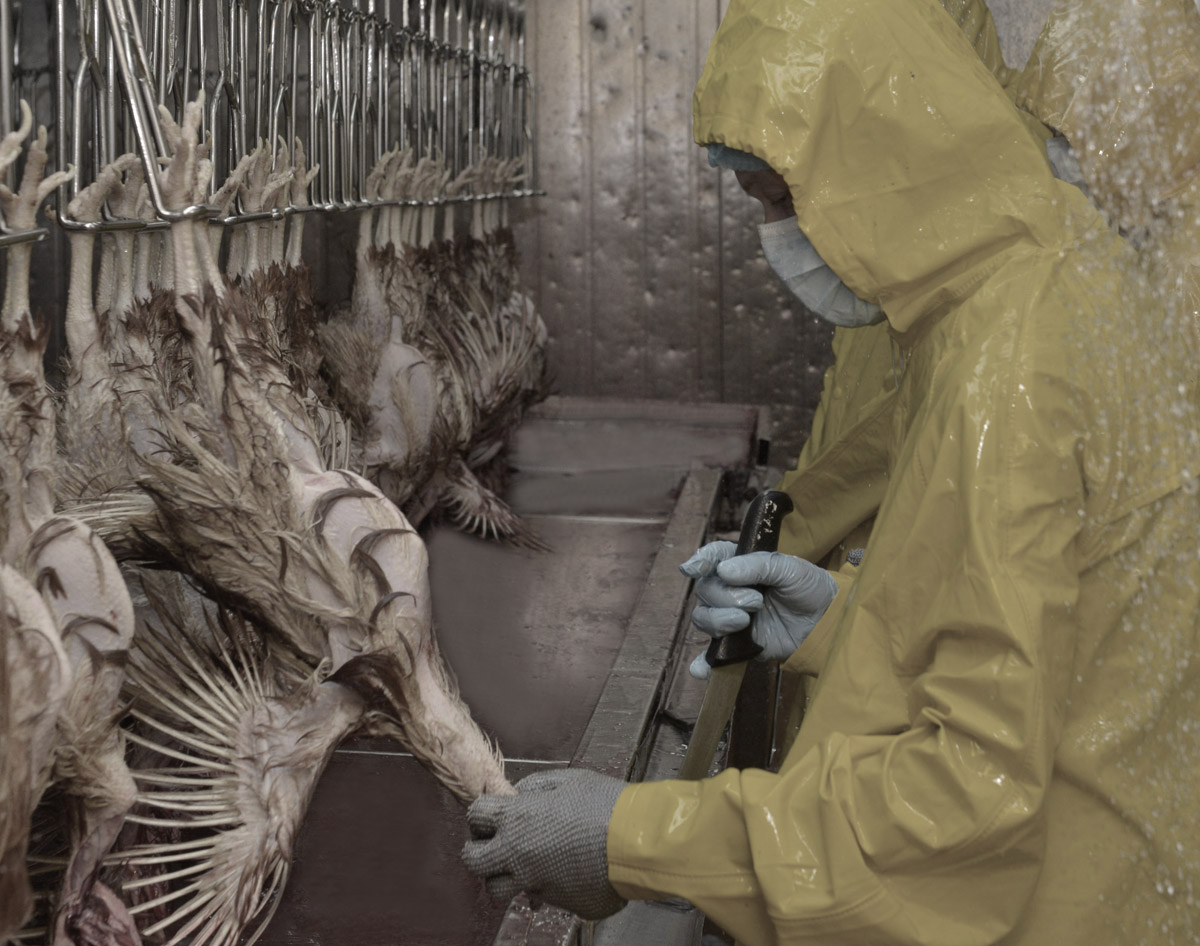 HLRB-Processing-Bismillah-Allahu-Akbar - HLRB Processing Sdn bhd