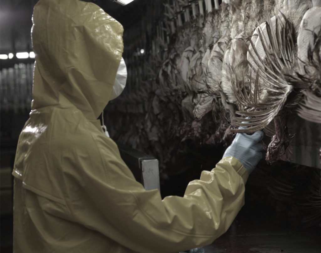 HLRB-Processing-Halal-Checker - HLRB Processing Sdn bhd