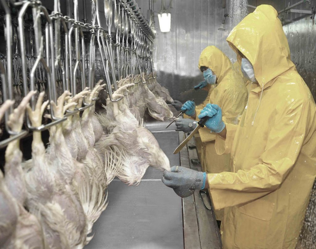 Halal - HLRB Processing Sdn bhd